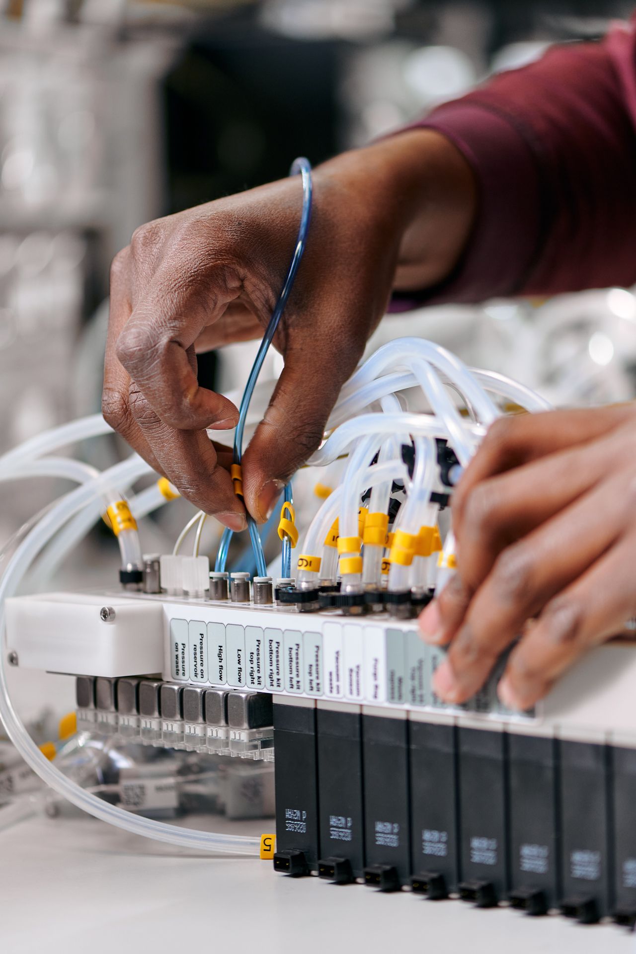 Our custom services from A to Z | Trasis