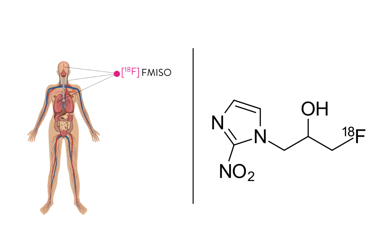 [18F]FMISO | Trasis