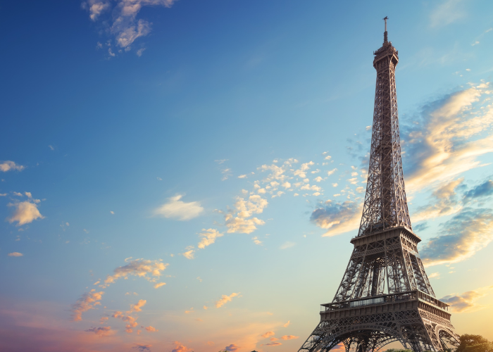 Trasis Innovation Newsletter - March 2025 | Trasis